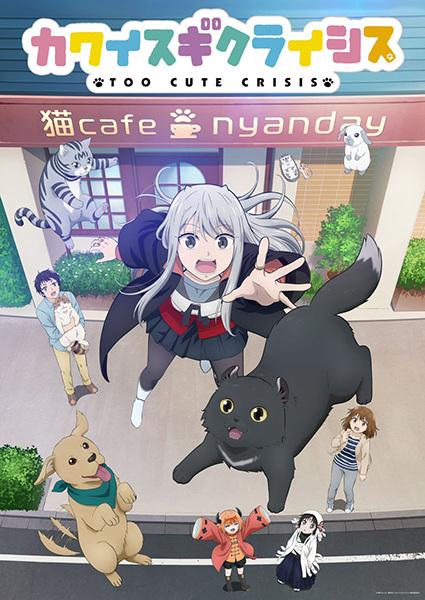 docchi - Twoja biblioteka anime